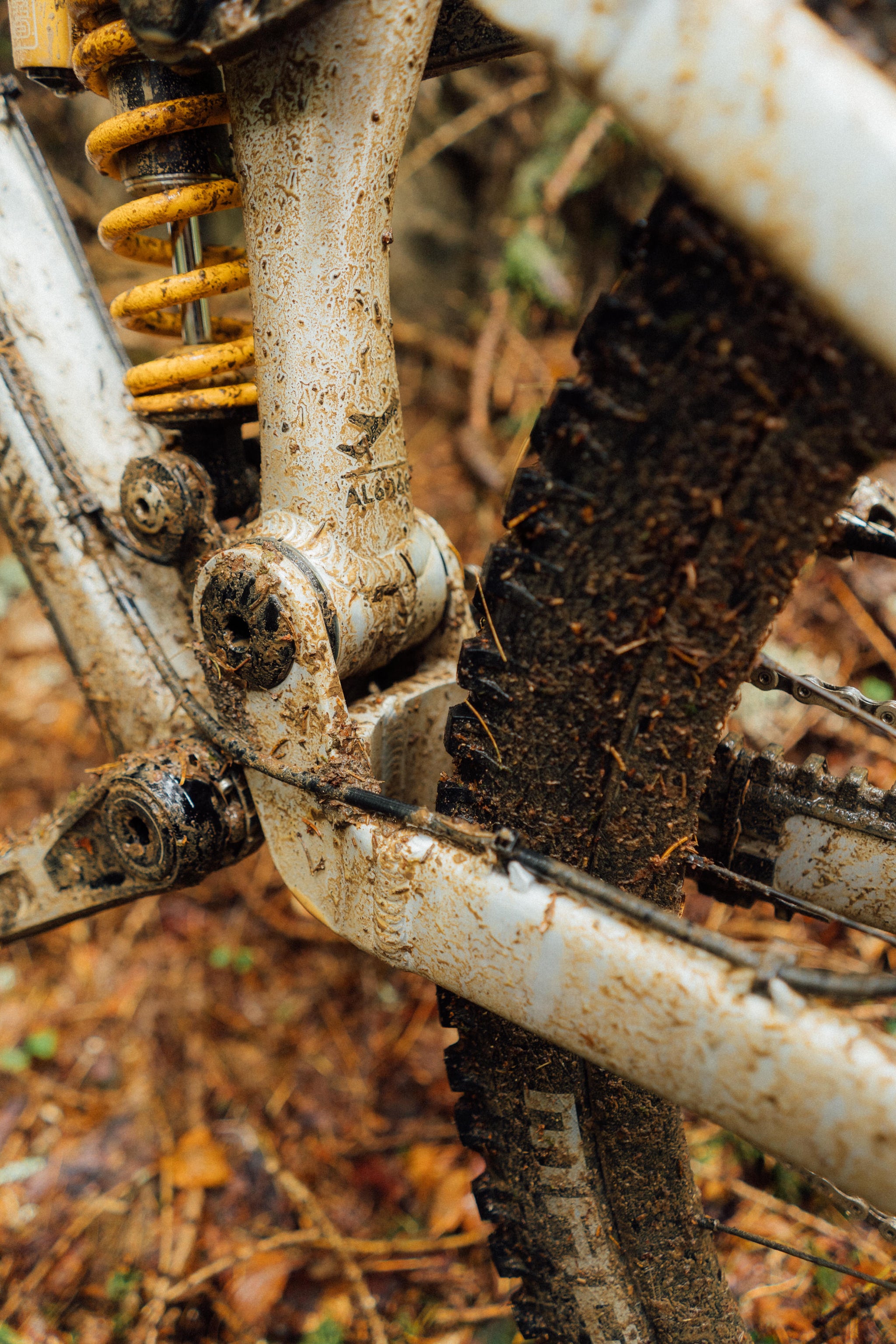 RAAW Madonna V3 – RAAW Mountain Bikes
